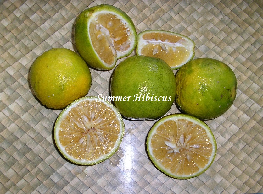 CITRUS LEMONADE LALANGA FRUIT TREE | SUMMER HIBISCUS