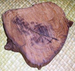 Intsia bijuga MERBAU TREE RARE | SUMMER HIBISCUS