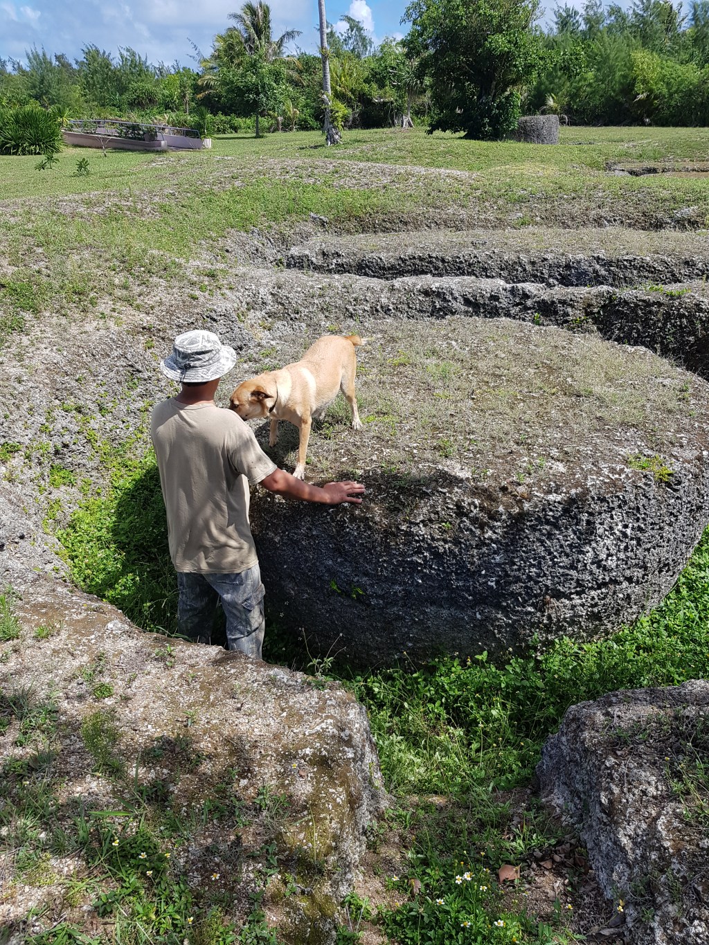 ANCIENT LATTE STONES | SUMMER HIBISCUS