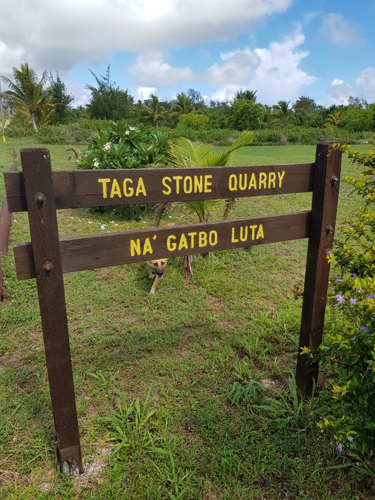 ANCIENT LATTE STONES | SUMMER HIBISCUS