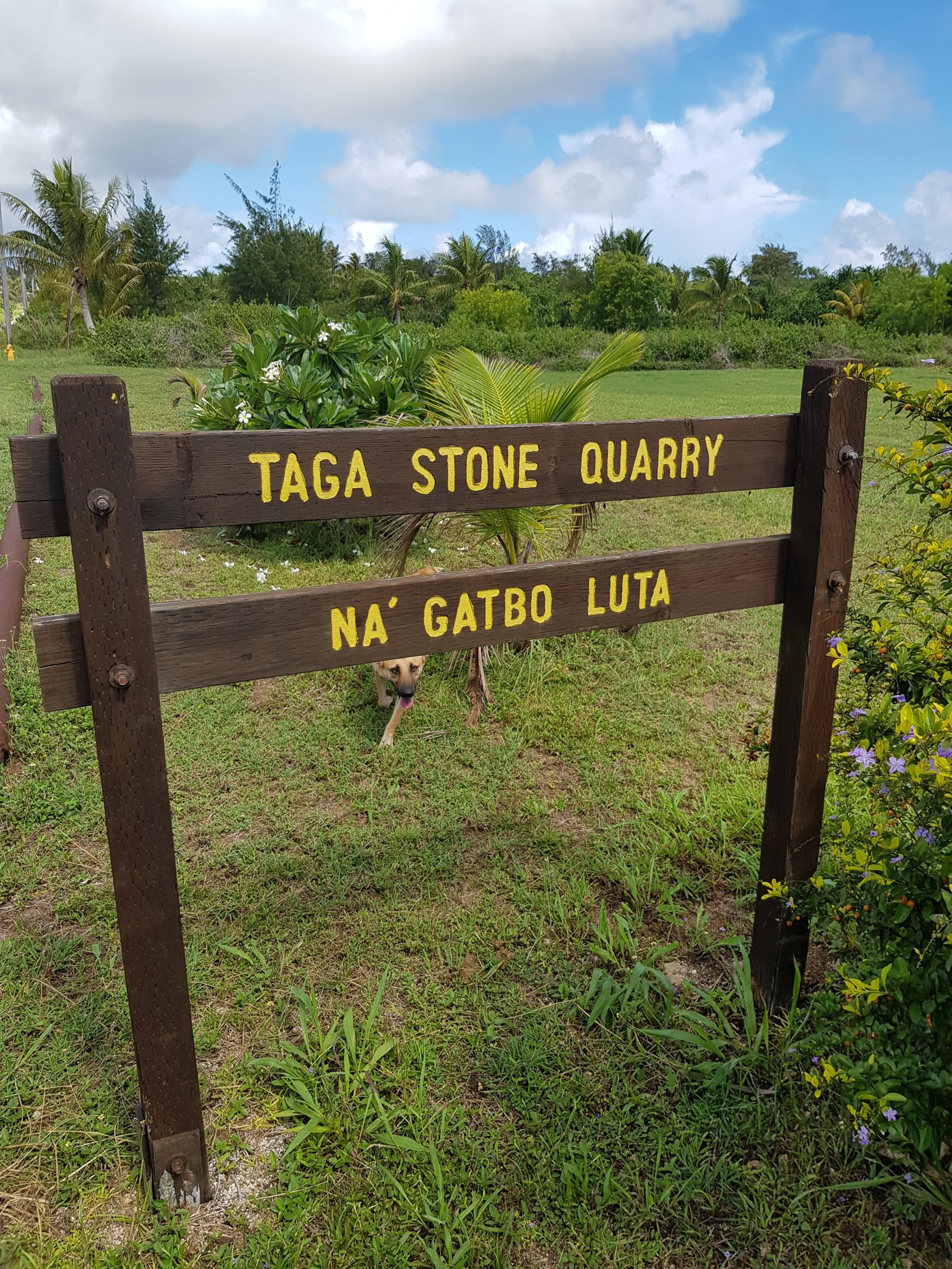 ANCIENT LATTE STONES | SUMMER HIBISCUS